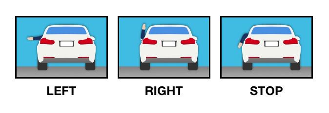 A Guide to Hand Signals in Driving : The Language of the Road - Whitby ...